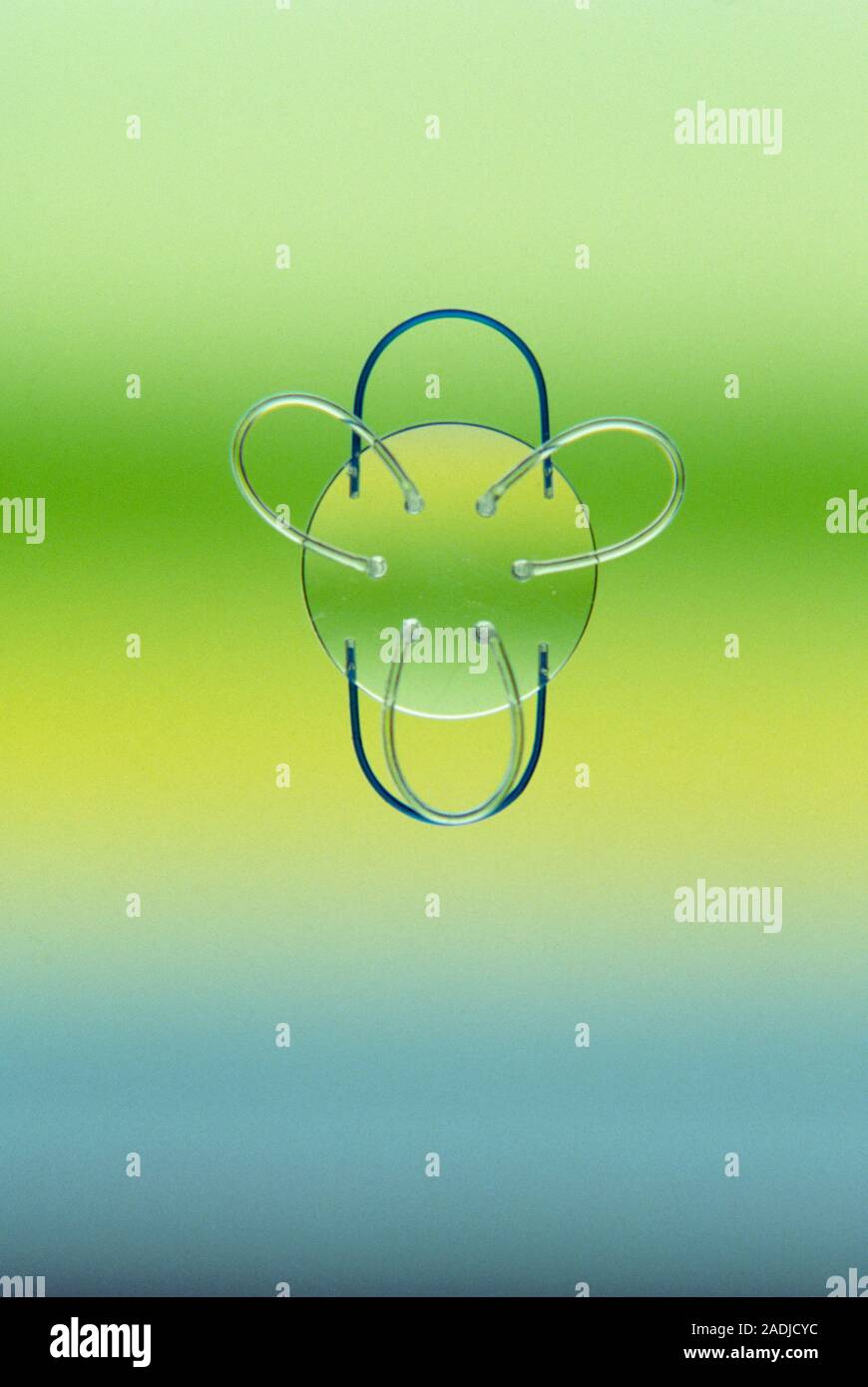 Artificial eye lens. Macrophotograph of a plastic eye lens prothesis ...