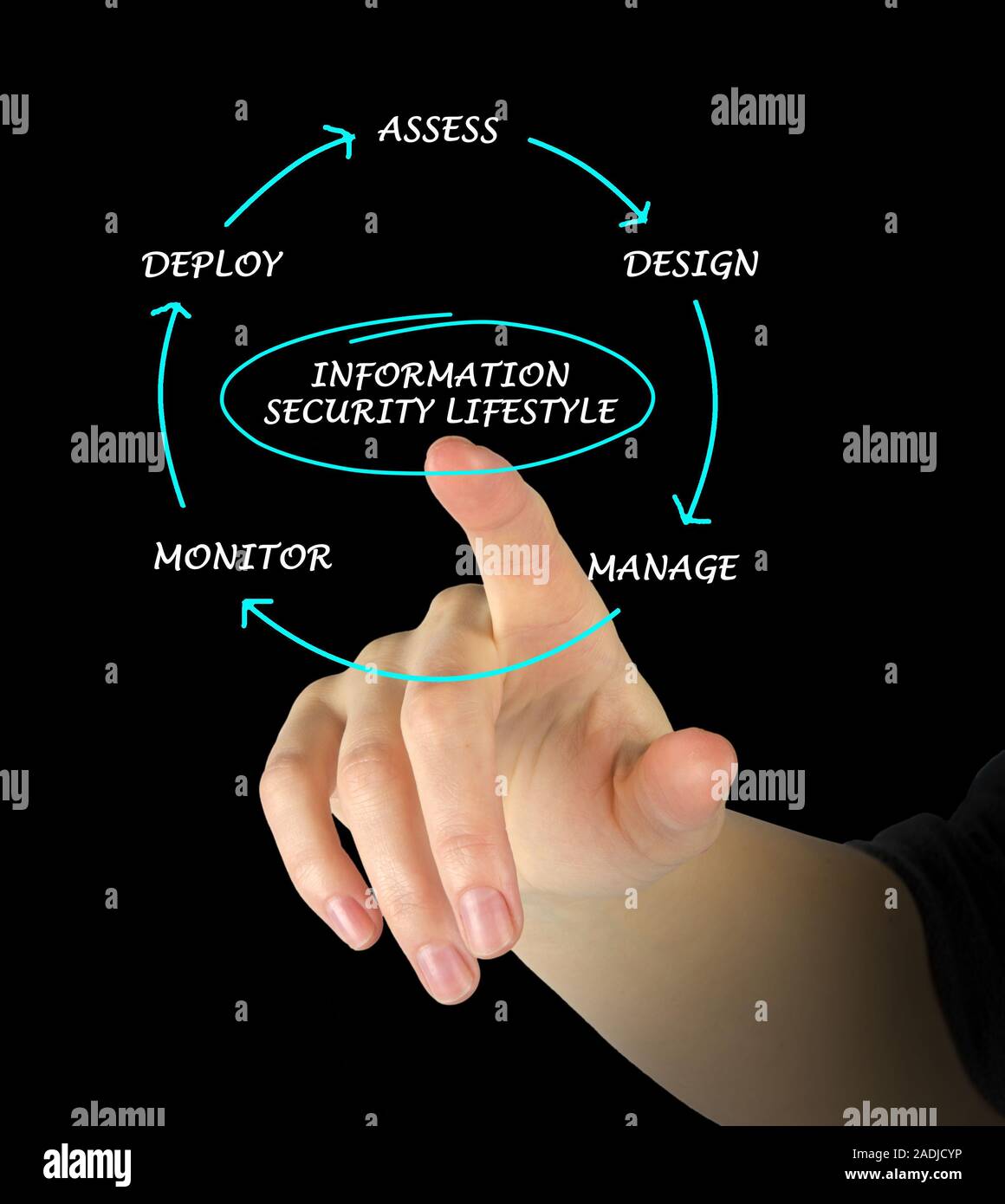 Diagram of information security lifecycle Stock Photo - Alamy