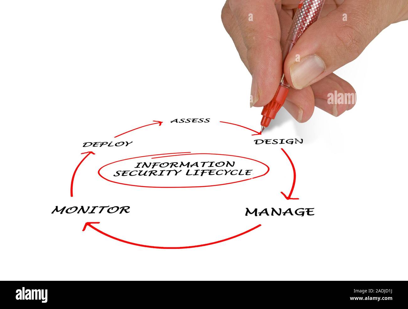 Diagram of information security lifecycle Stock Photo - Alamy