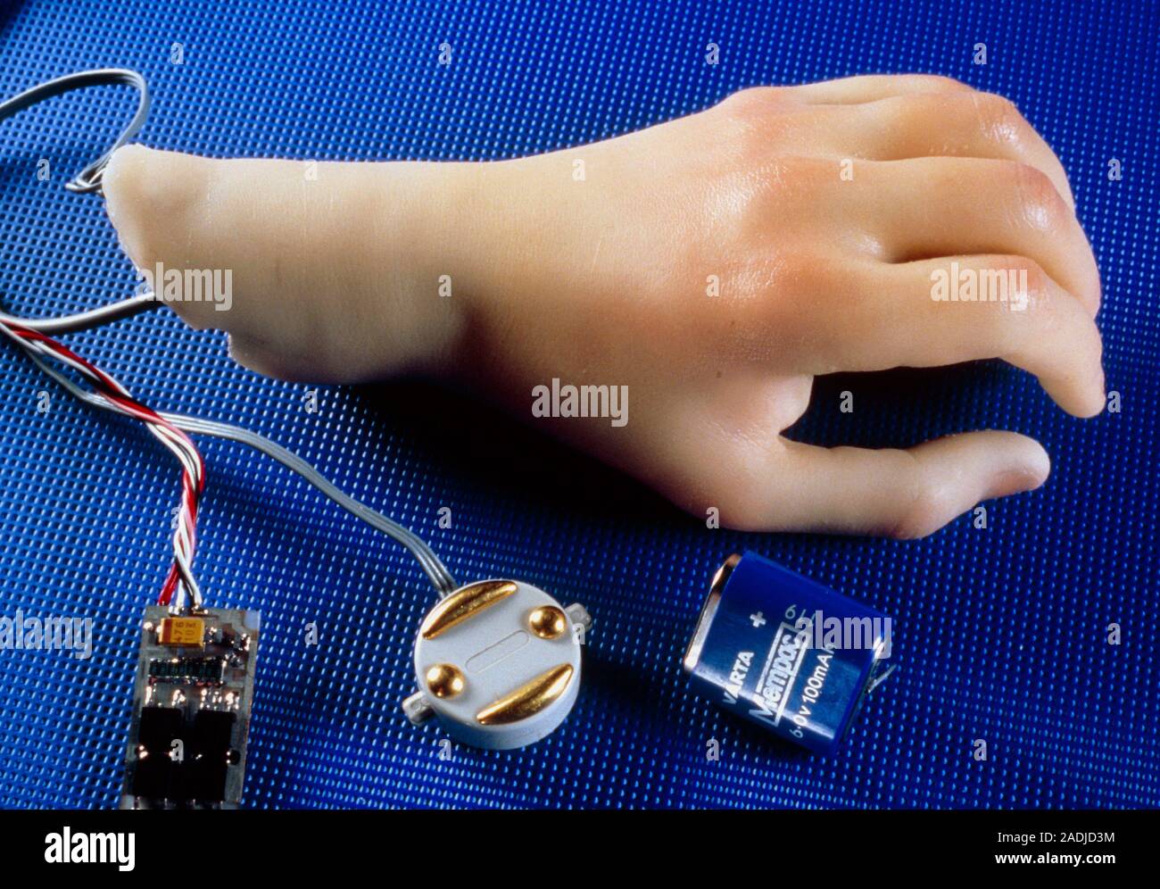 Miniature prosthetic (artificial) hand, photographed with the wiring ...