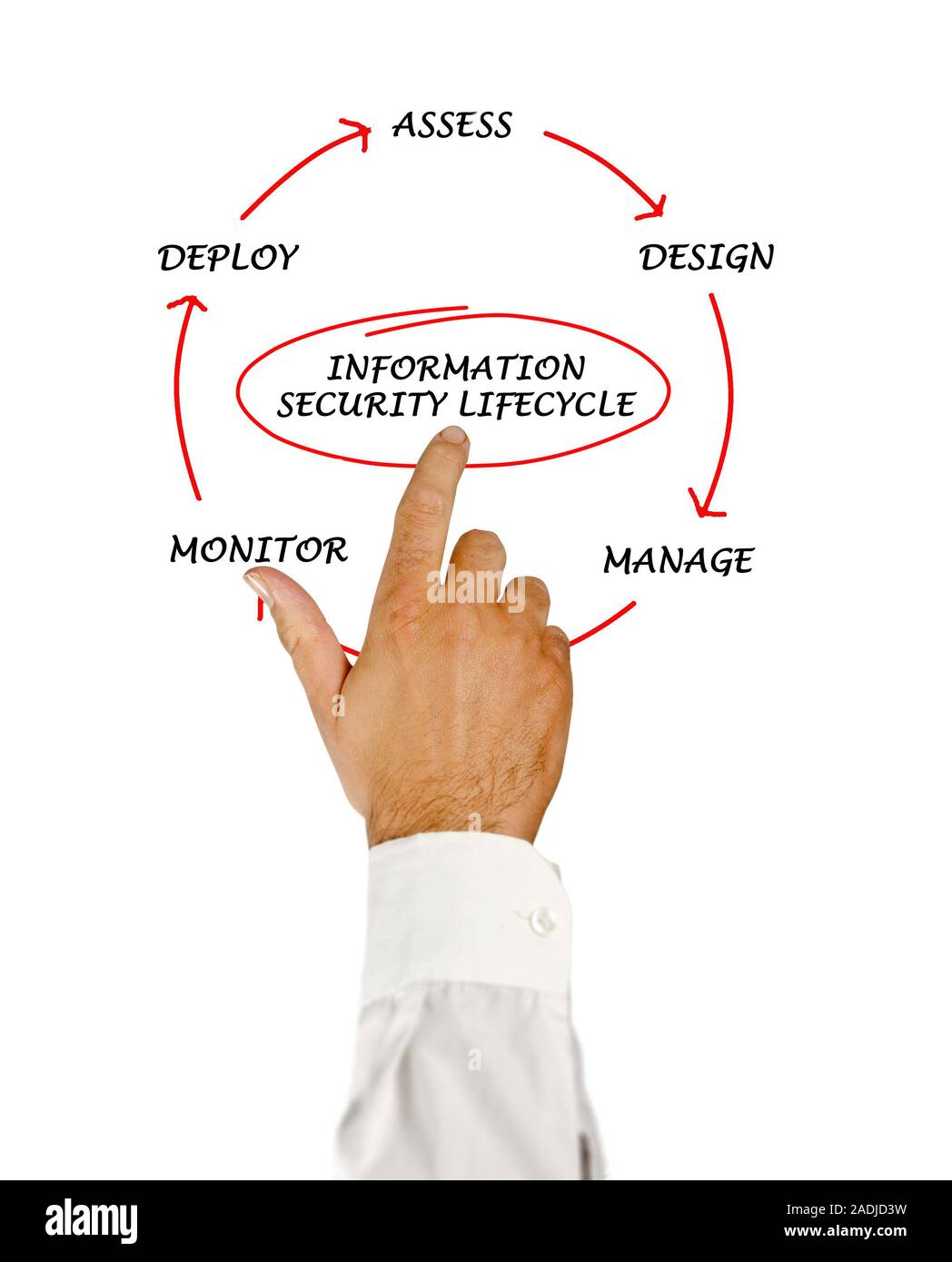 Diagram of information security lifecycle Stock Photo - Alamy