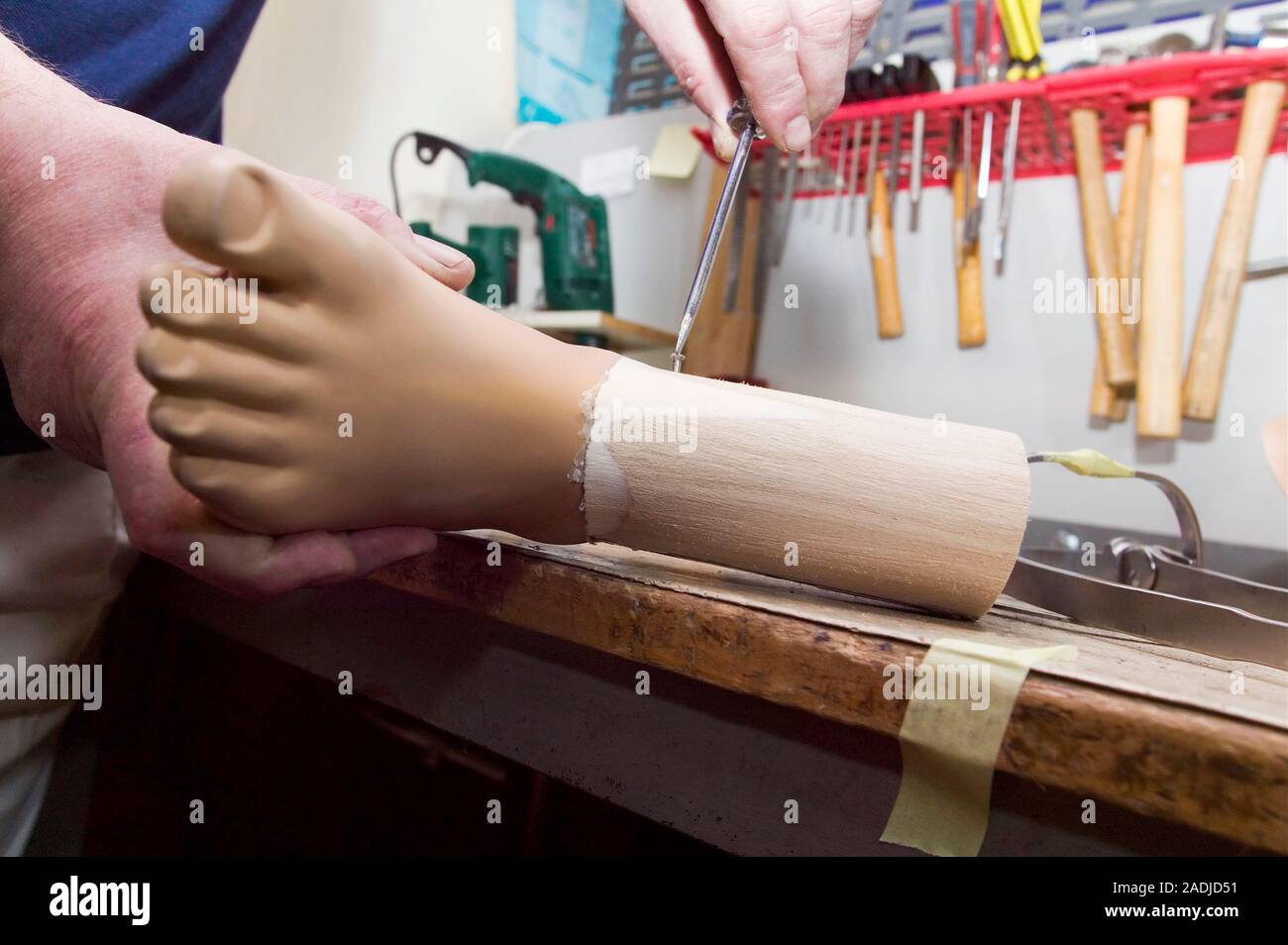 MODEL RELEASED. Prosthetic limb manufacture. Technician building a ...