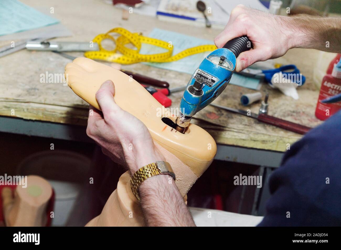 MODEL RELEASED. Prosthetic limb manufacture. Technician building a ...