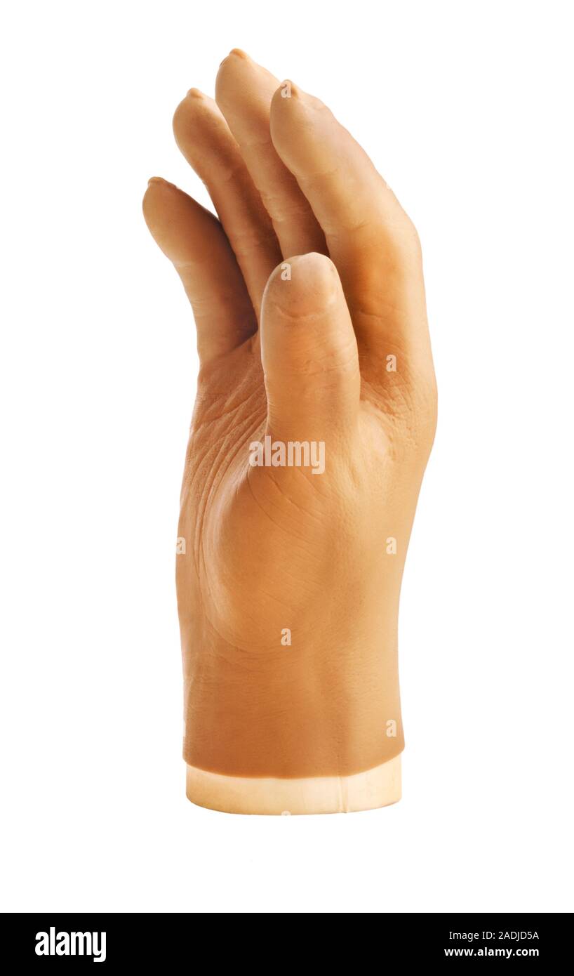 Prosthetic hand. Outer covering of a prosthetic hand. This covering ...