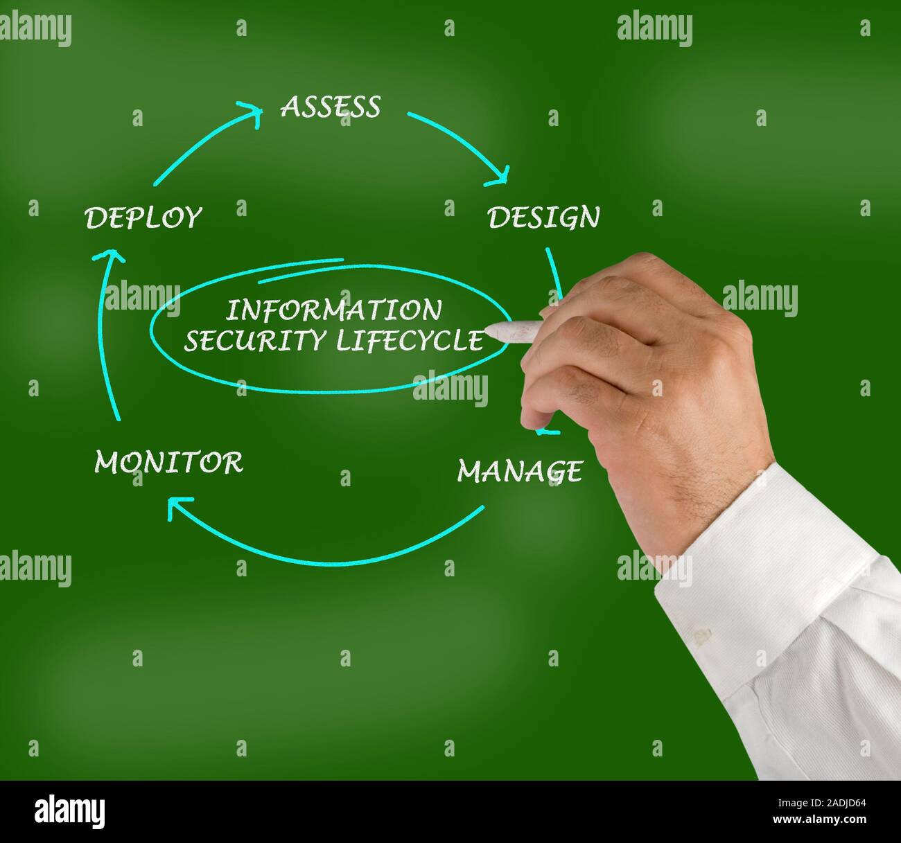 Diagram of information security lifecycle Stock Photo - Alamy