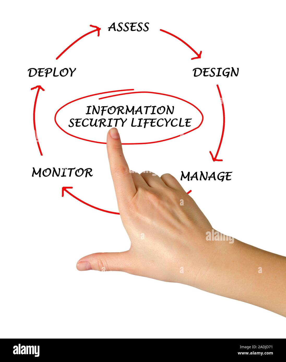 Diagram of information security lifecycle Stock Photo - Alamy