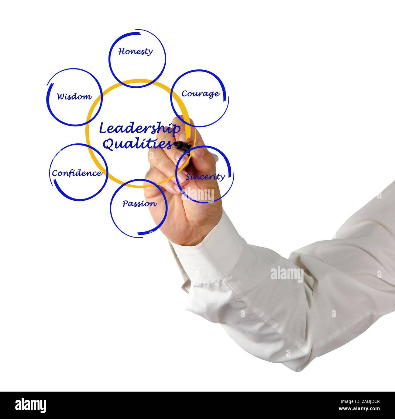 Diagram of leadership qualities Stock Photo - Alamy
