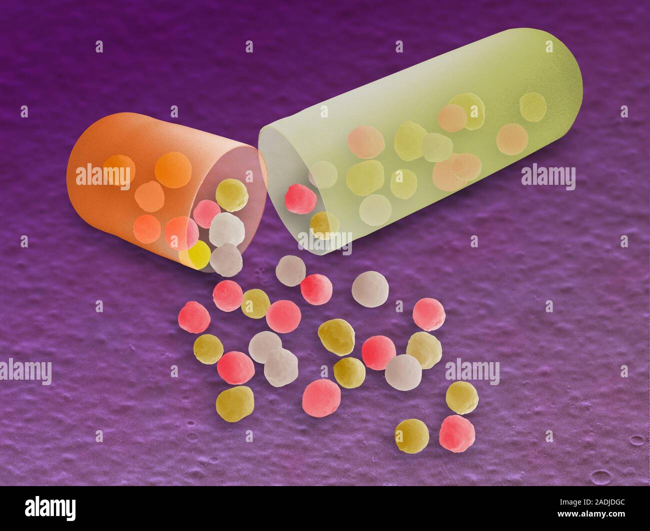Time-release drug capsule, coloured scanning electron micrograph (SEM ...