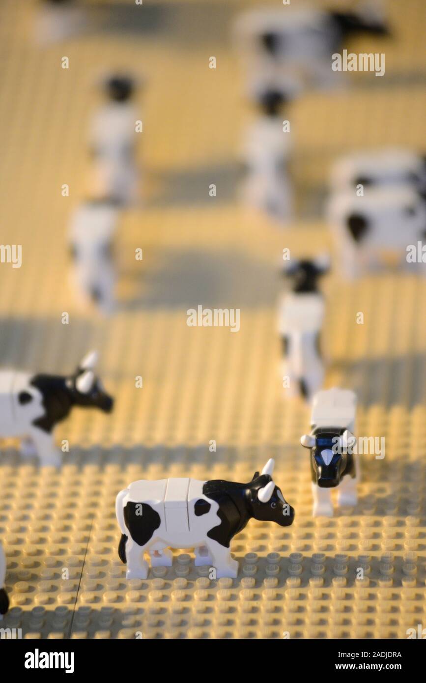 Group of Lego Cows Stock Photo - Alamy