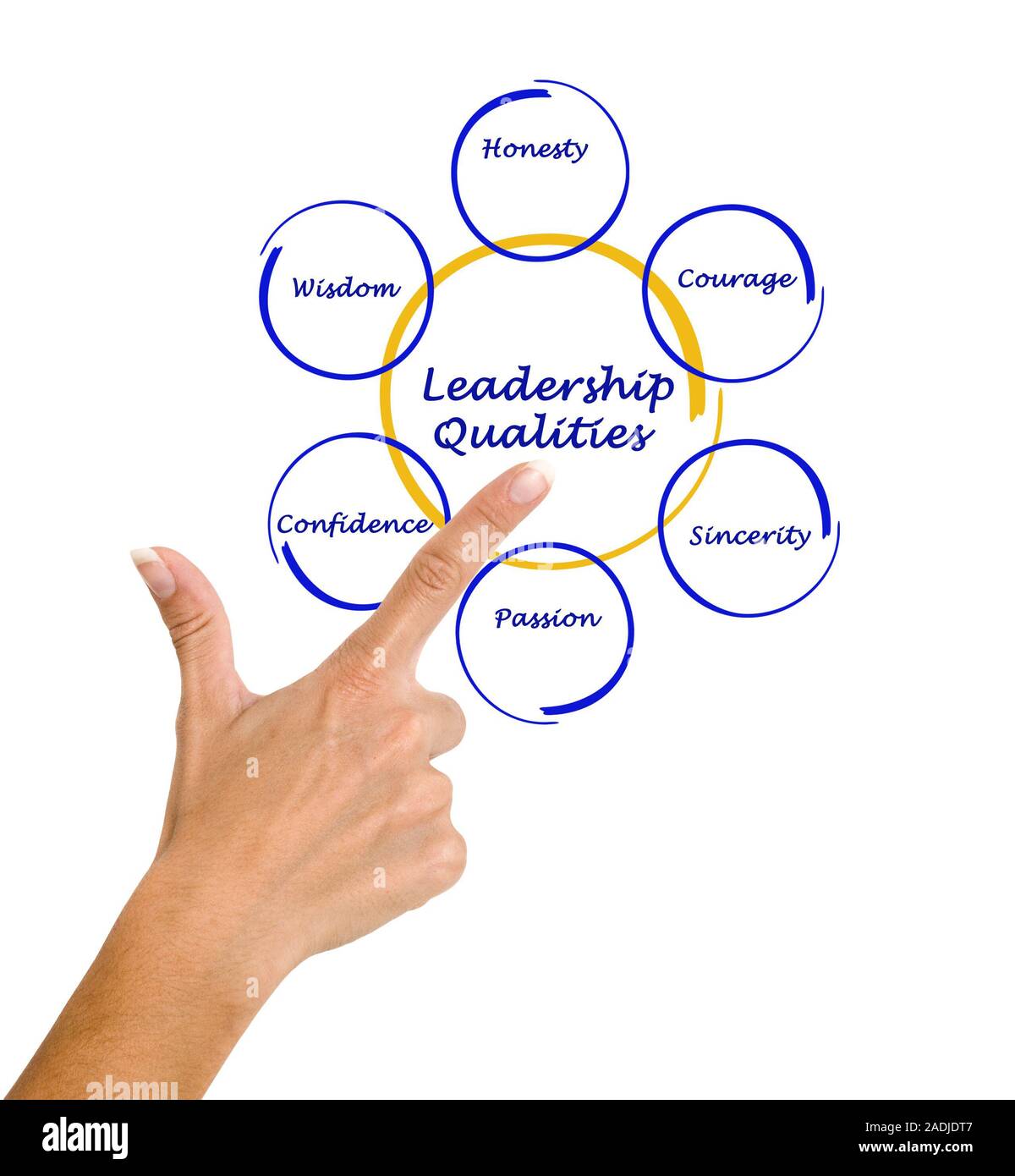 Diagram of leadership qualities Stock Photo - Alamy