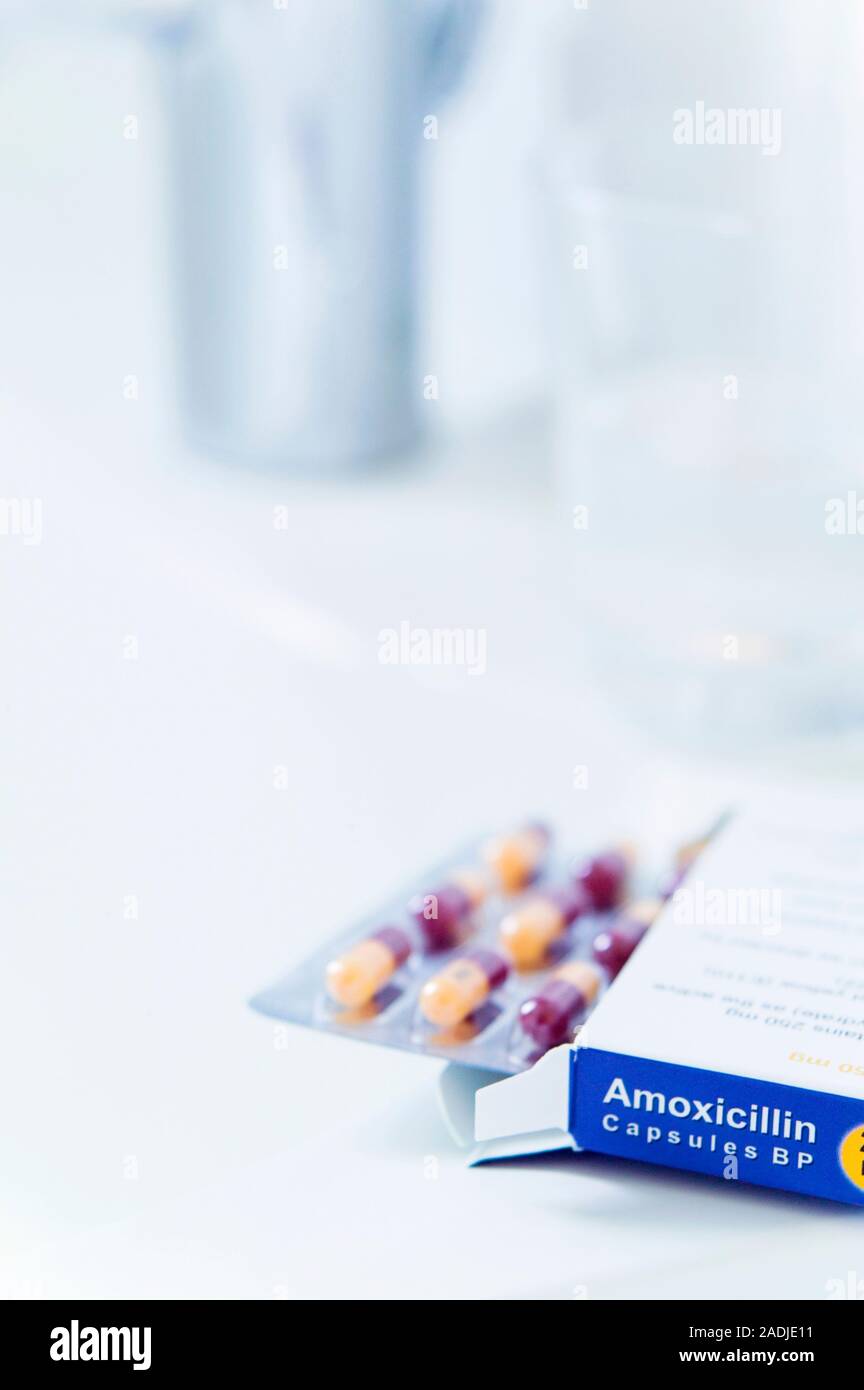 Amoxicillin antibiotic pills in their blister pack in their box ...