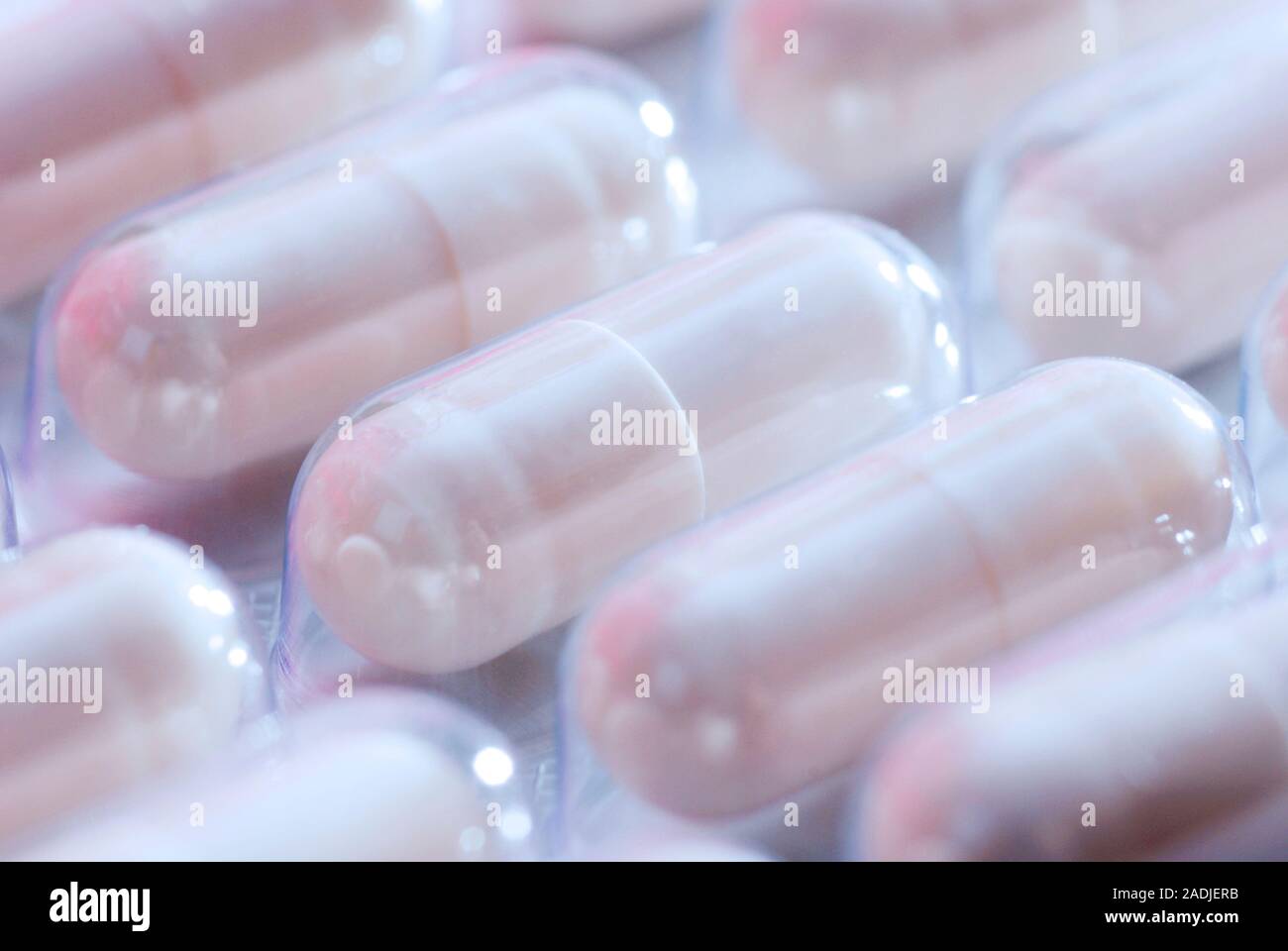Probiotic and prebiotic supplements. Blister pack of capsules ...
