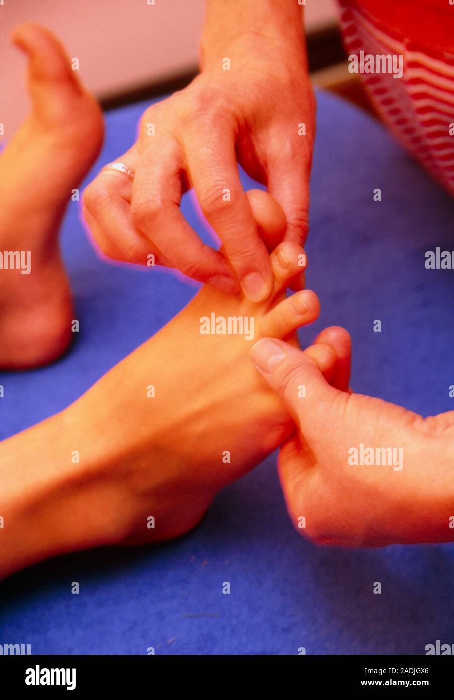 Foot physiotherapy. Physiotherapist manipulating the toes on a nine ...
