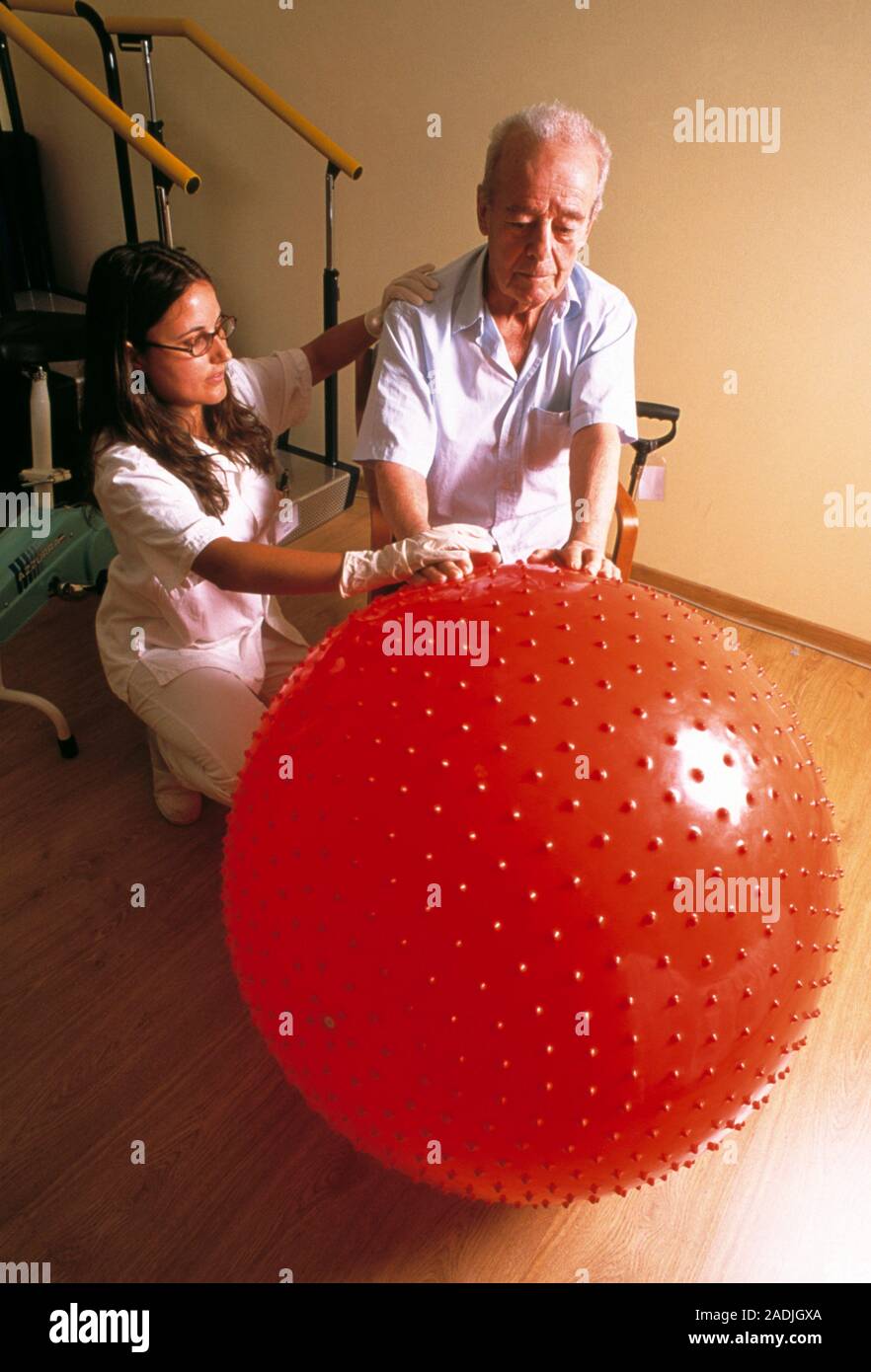 Physiotherapy. Elderly man undergoing physiotherapy. The giant ball is ...
