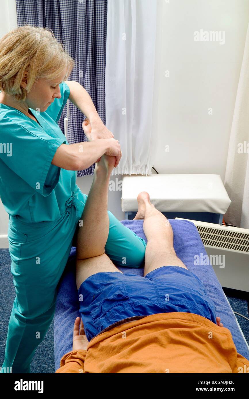 Apley's knee test. Physiotherapist performing an Apley's knee test to ...