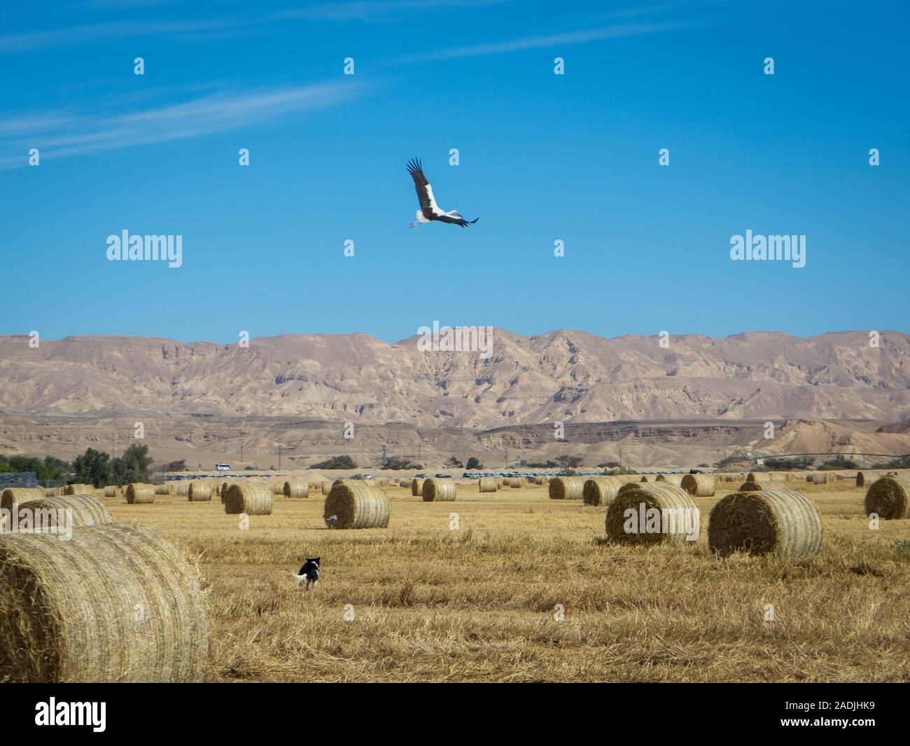 Haverst hi-res stock photography and images - Alamy