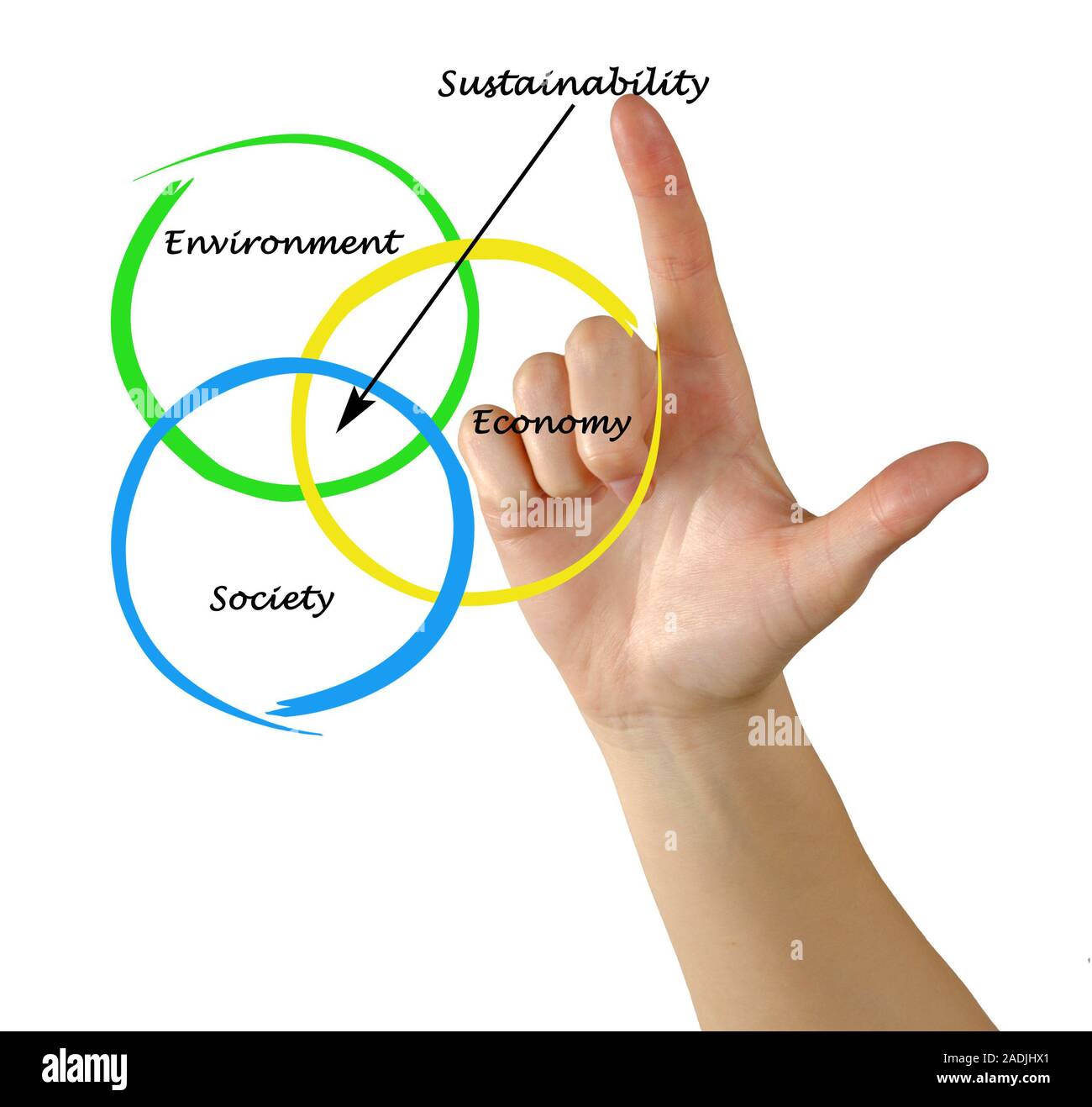 Presentation of diagram of sustainability Stock Photo - Alamy