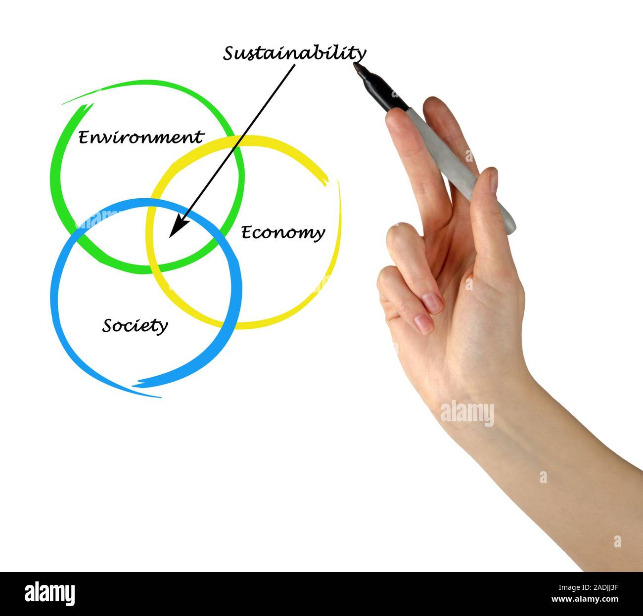 Presentation of diagram of sustainability Stock Photo - Alamy