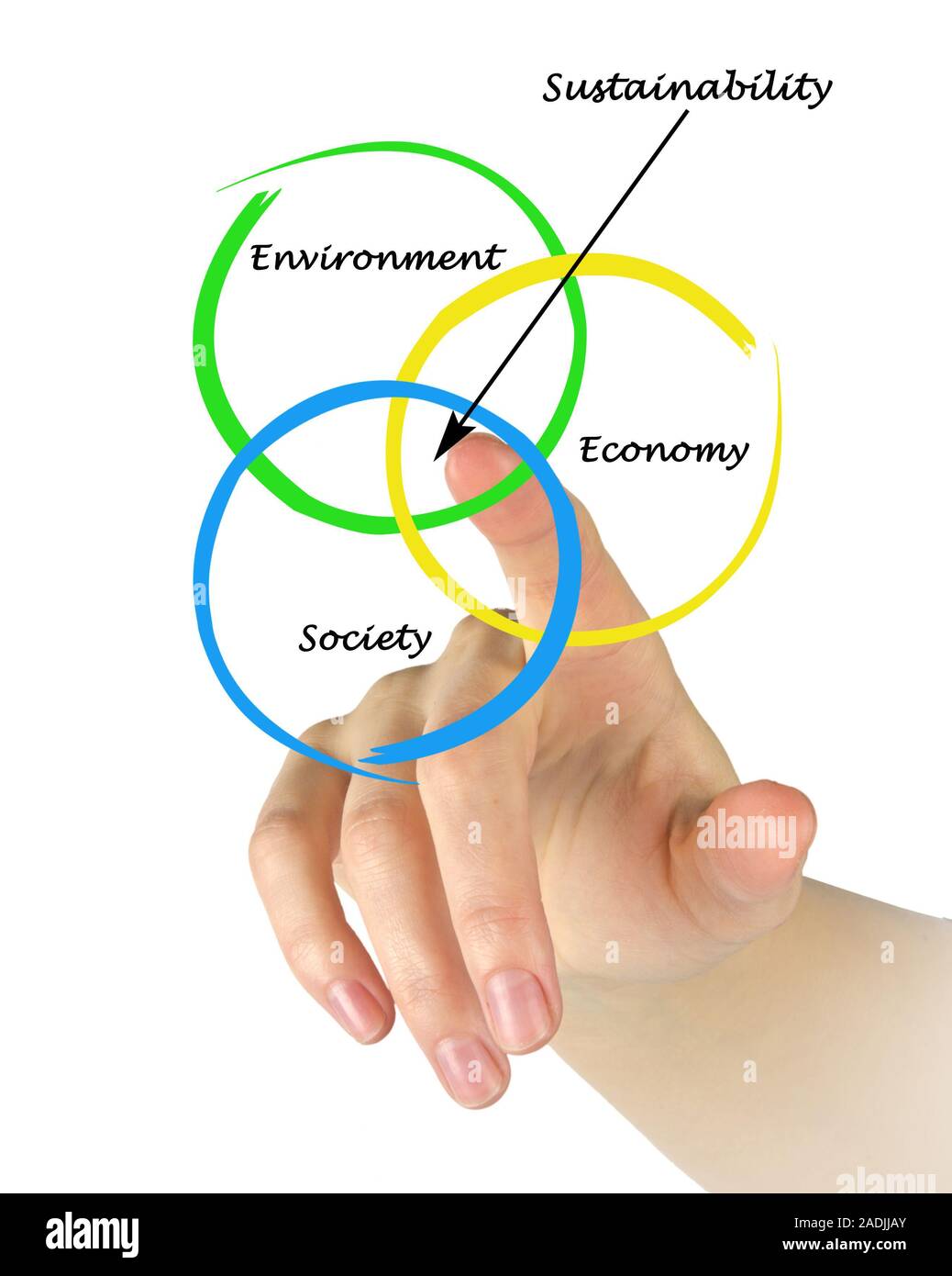 Presentation of diagram of sustainability Stock Photo - Alamy