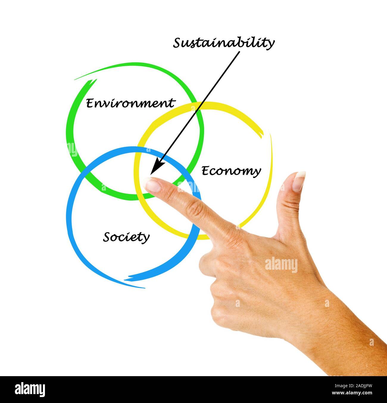 Presentation of diagram of sustainability Stock Photo - Alamy