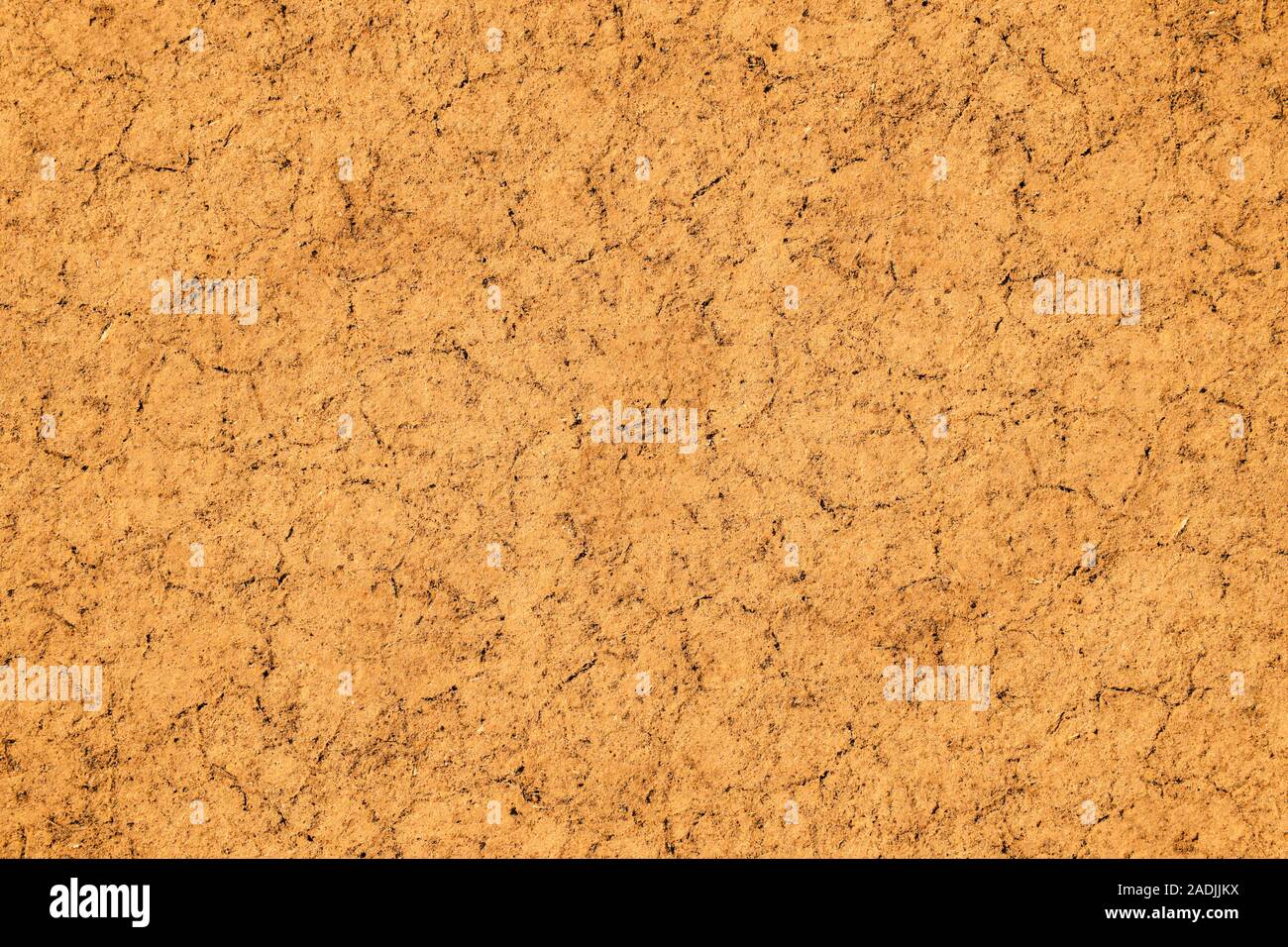 Cork background with interesting texture. Corkboard pattern in high ...