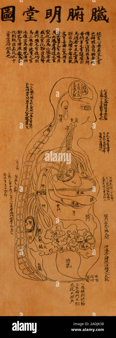 Chinese acupuncture chart. Chinese acupuncture chart with illustrations ...
