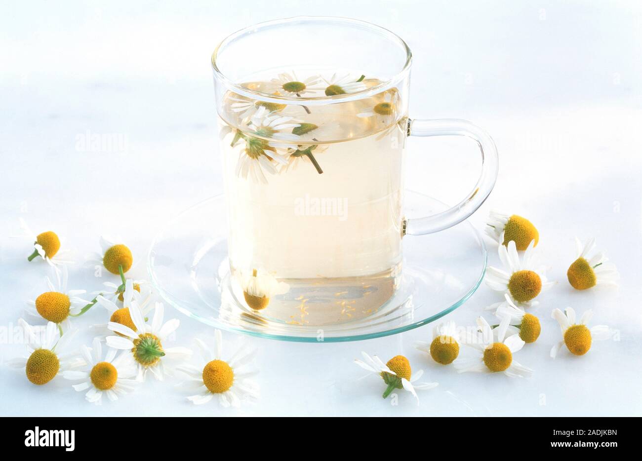 Camomile tea. Glass cup containing camomile tea surrounded by flowers ...