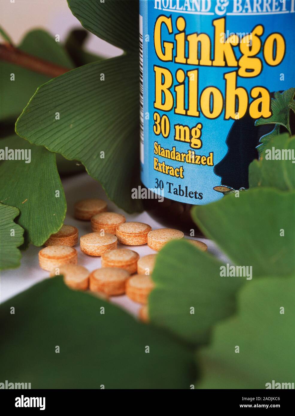 Ginkgo tablets. Leaves and tablets of Ginkgo biloba, the maidenhead ...