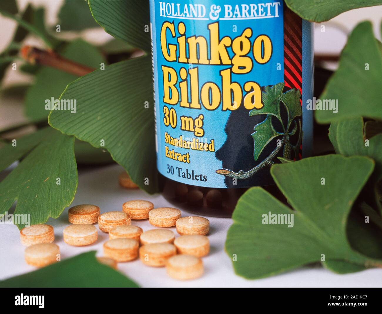 Ginkgo tablets. Leaves and tablets of Ginkgo biloba, the maidenhead ...