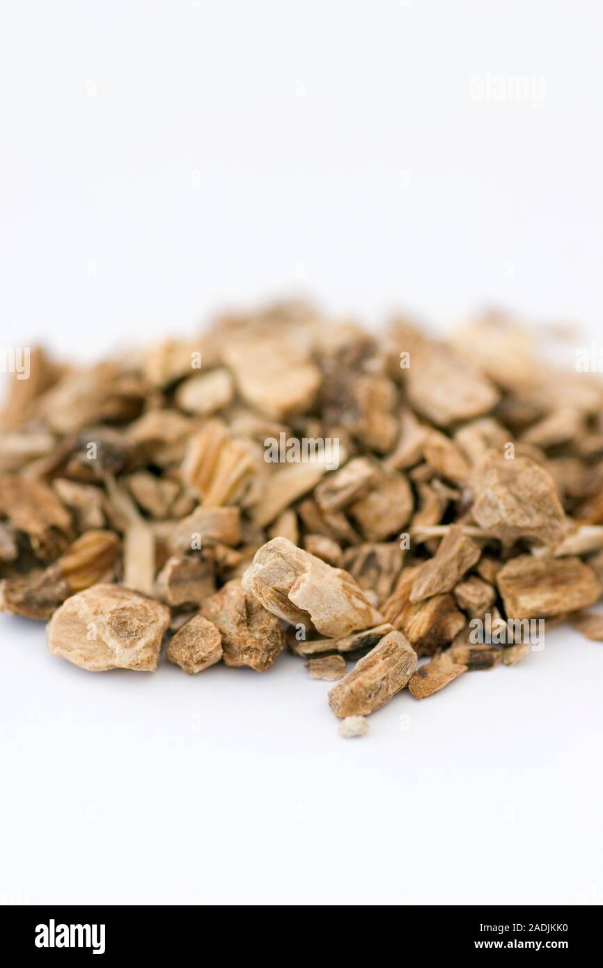 Burdock roots (Arctium lappa). Chopped and dried roots of the burdock ...