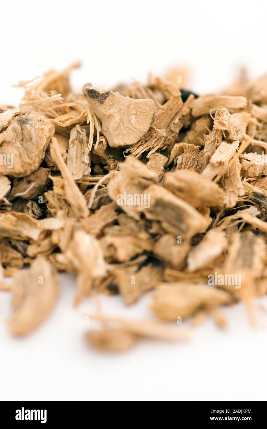 Poke root. Chopped and dried poke roots (Phytolacca americana). This ...