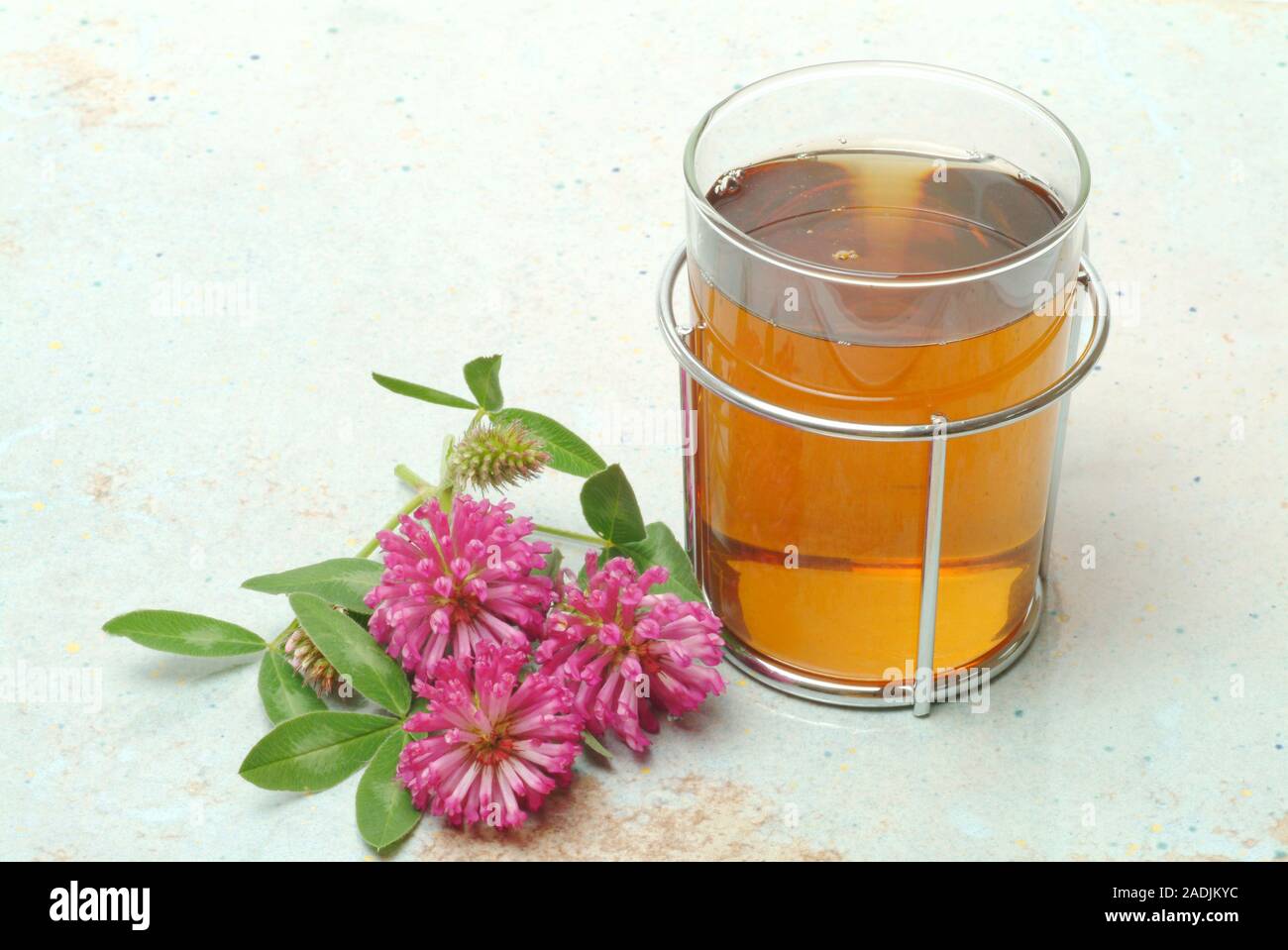 Red clover tea. Fresh red clover flowers (Trifolium pratense) by an ...