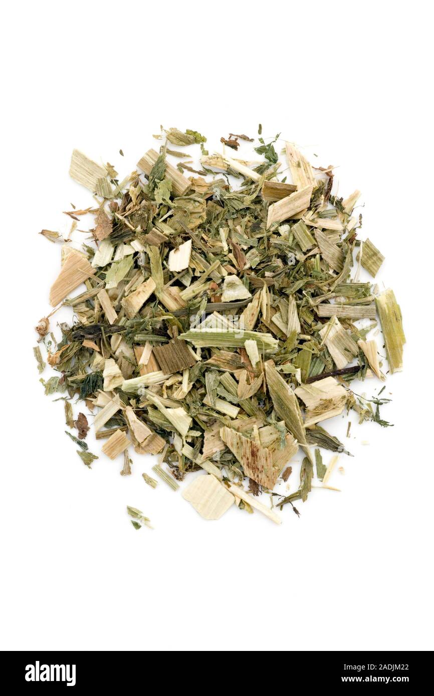 Goat's Rue herb (Galega officinalis). This herb has traditionally been ...