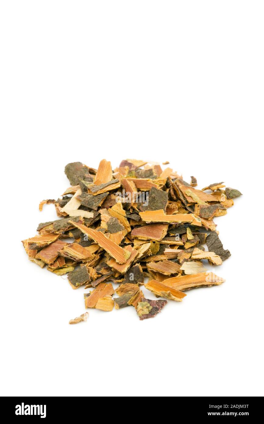 Alder buckthorn (Rhamnus frangula). The inner bark is used in herbal ...