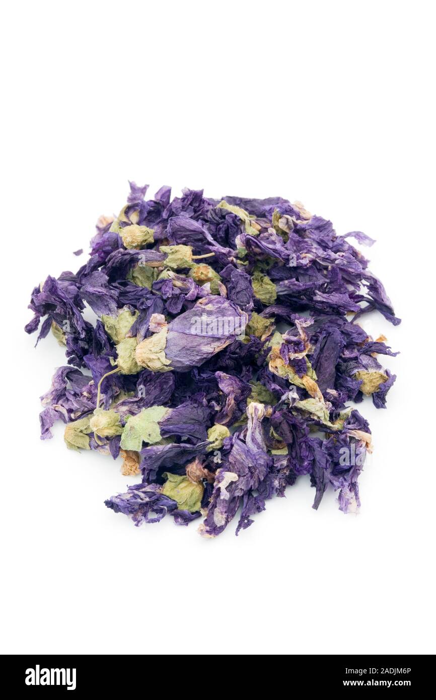 Blue mallow (Malva sylvestris). This plant is used in herbal medicine ...