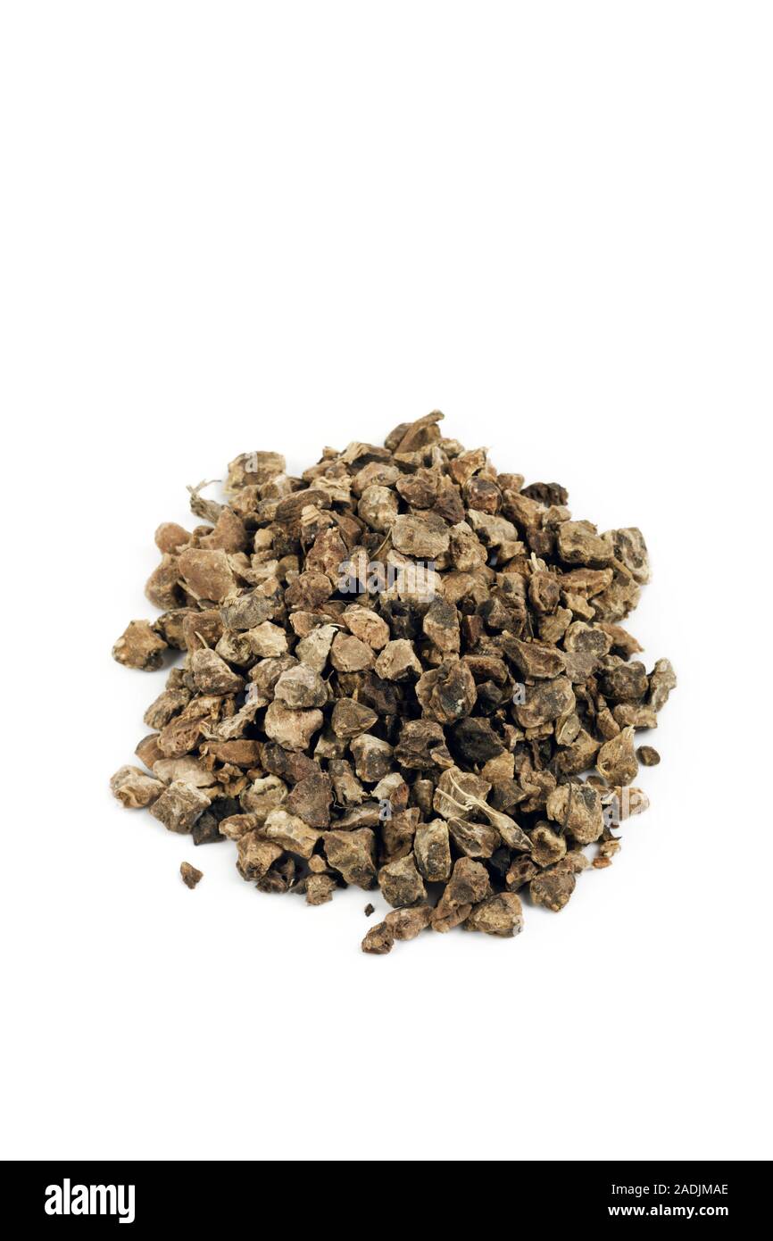 Tormentil herb (Potentilla erecta). This is used in herbal medicine for ...