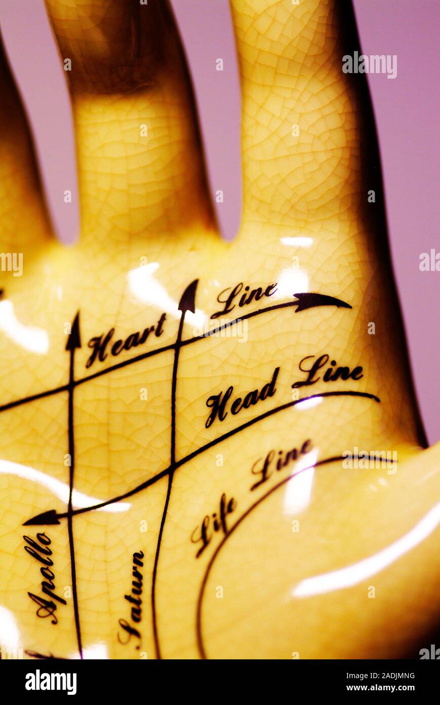 Palmistry. Ceramic model of a hand with the palm lines shown. Palmistry ...