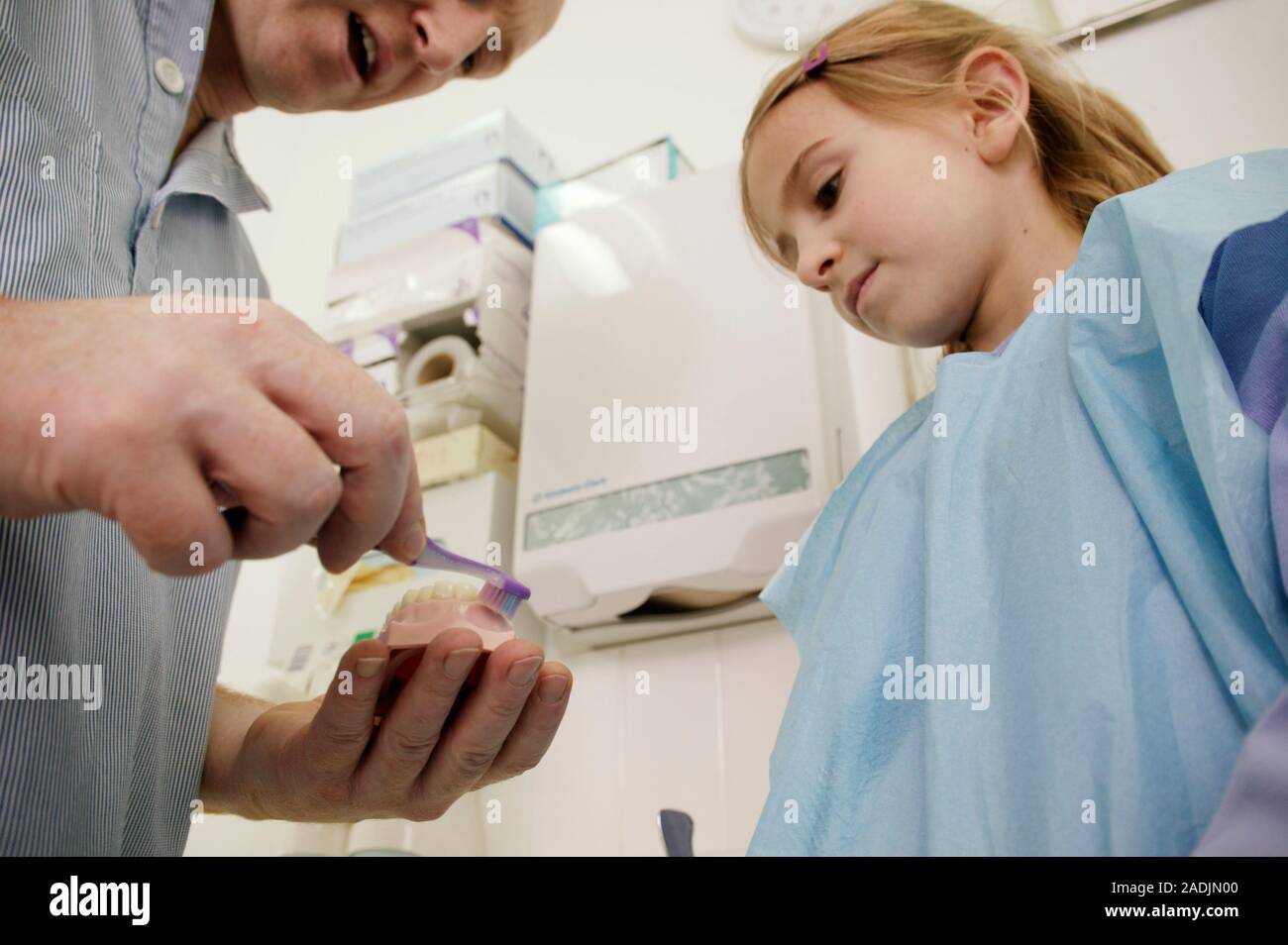 Toothbrushing demonstration. Dentist demonstrating toothbrushing to a ...