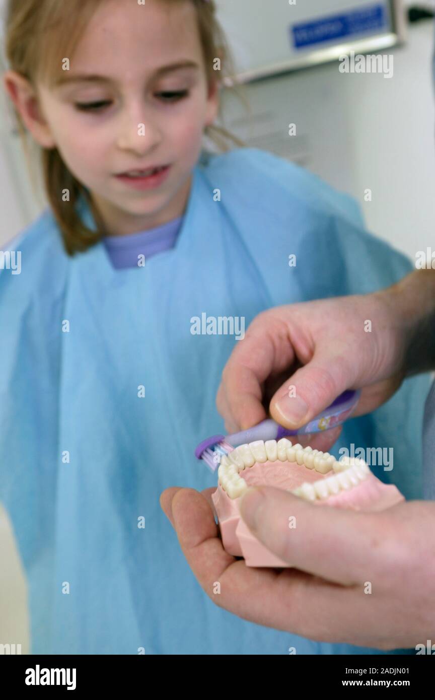 Toothbrushing demonstration. Dentist demonstrating toothbrushing to a ...