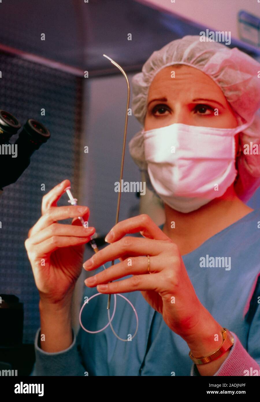 In vitro fertilisation (IVF): technician examining a trans-vaginal ...