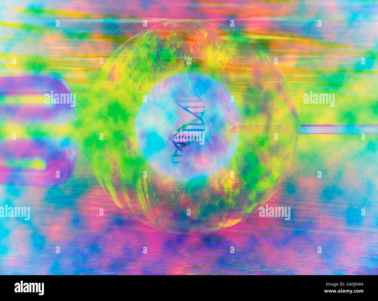 In vitro fertilisation. Computer artwork showing the microscopic ...