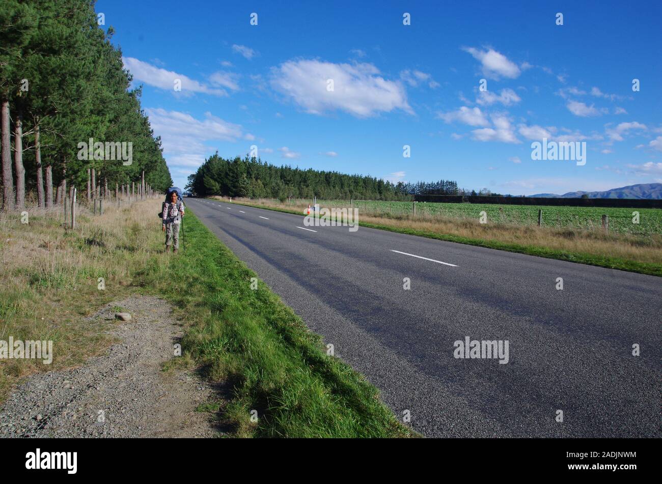 Thai female hiker. Inland Scenic Route Route 72. Te Araroa Trail. South ...
