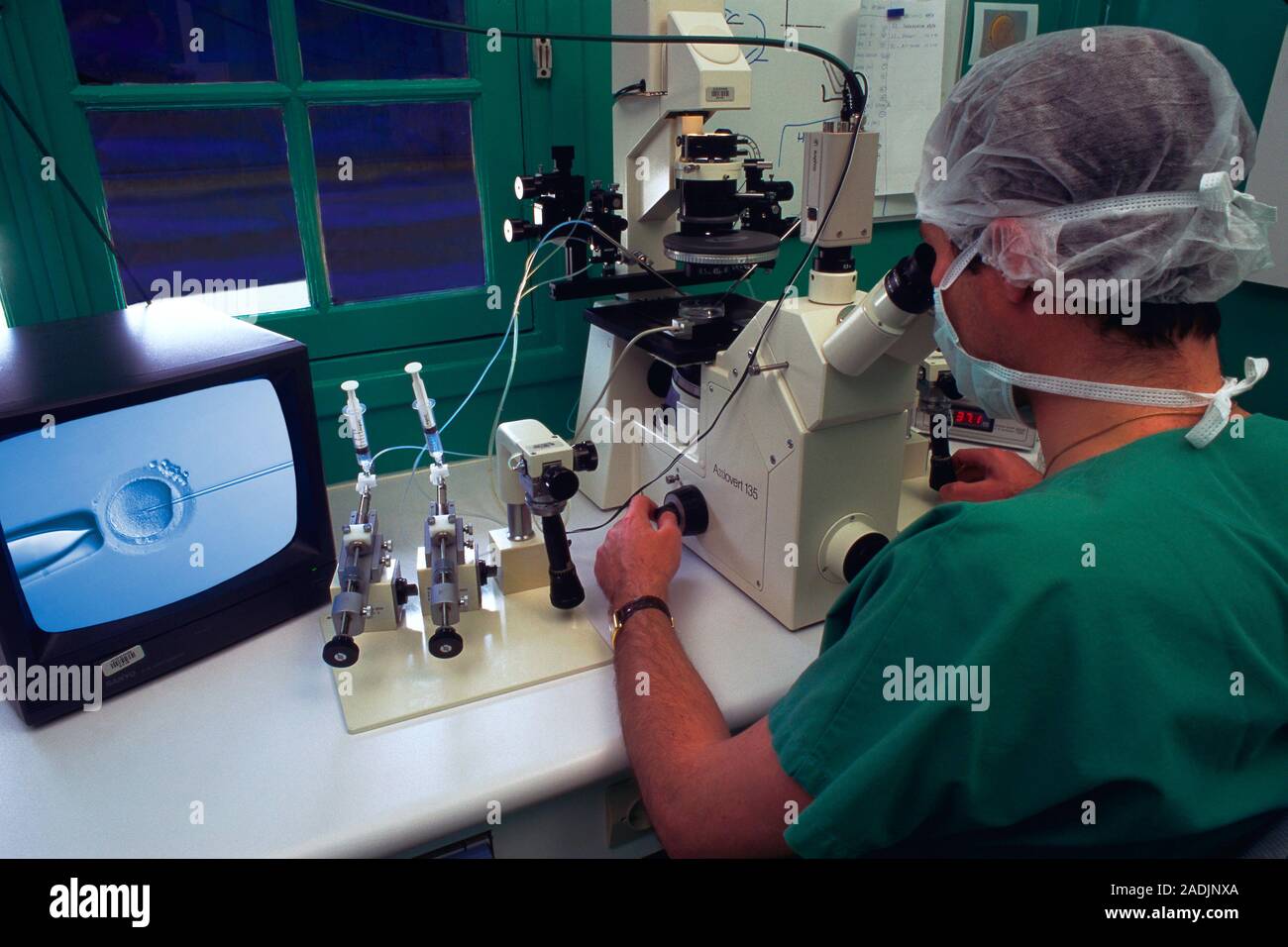 IVF treatment. Technician injecting human sperm into a human egg cell ...