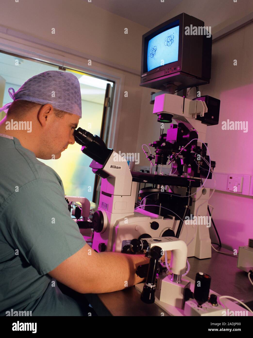 MODEL RELEASED. Embryo selection. Technician at an in vitro ...