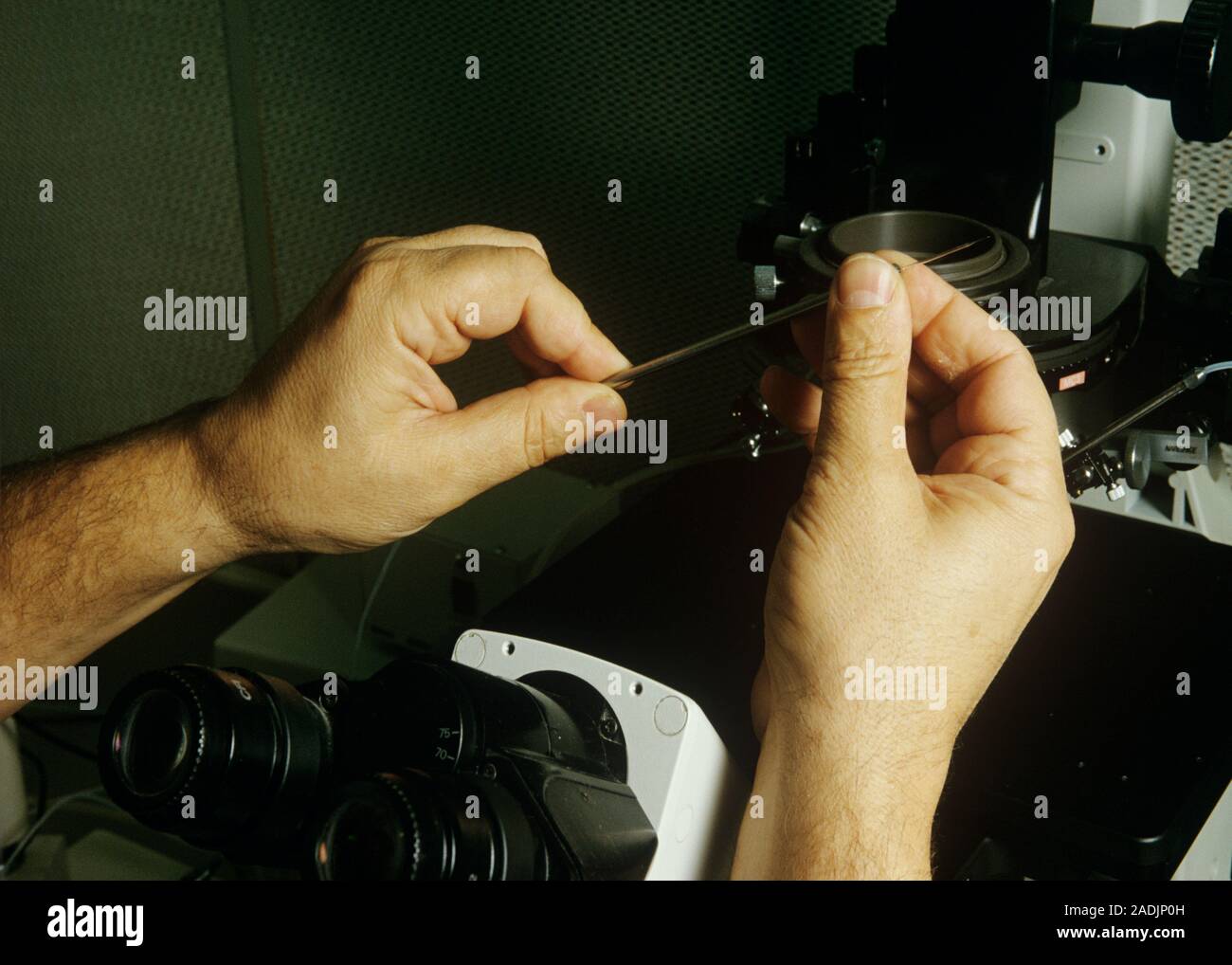 Preparing for IVF treatment. Doctor preparing a micro-neeedle for use ...