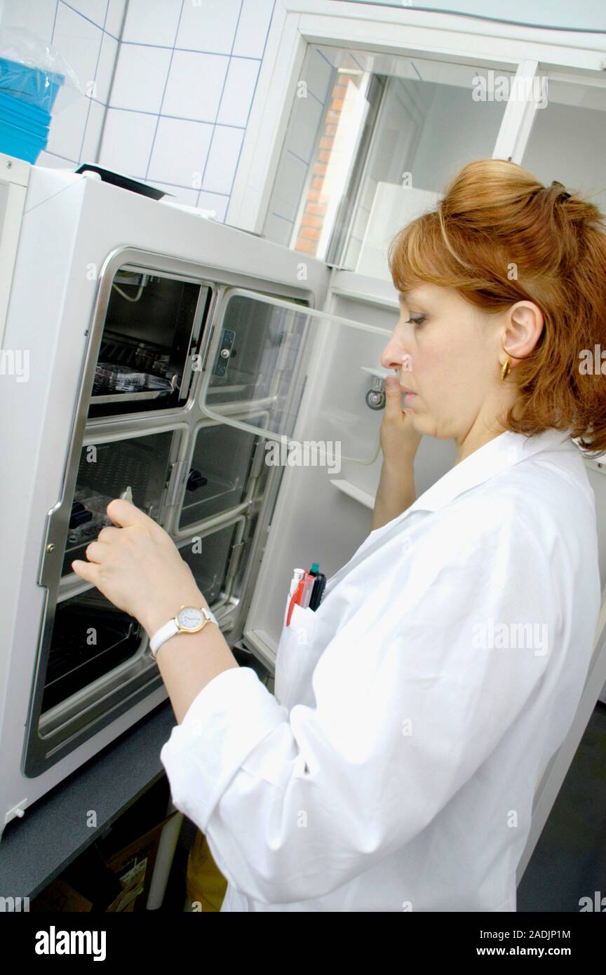 MODEL RELEASED. Egg storage for IVF. Scientist placing harvested ova ...