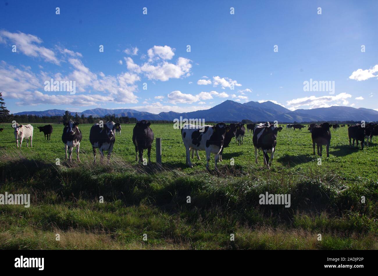 Inland Scenic Route Route 72. Te Araroa Trail. South Island. New ...