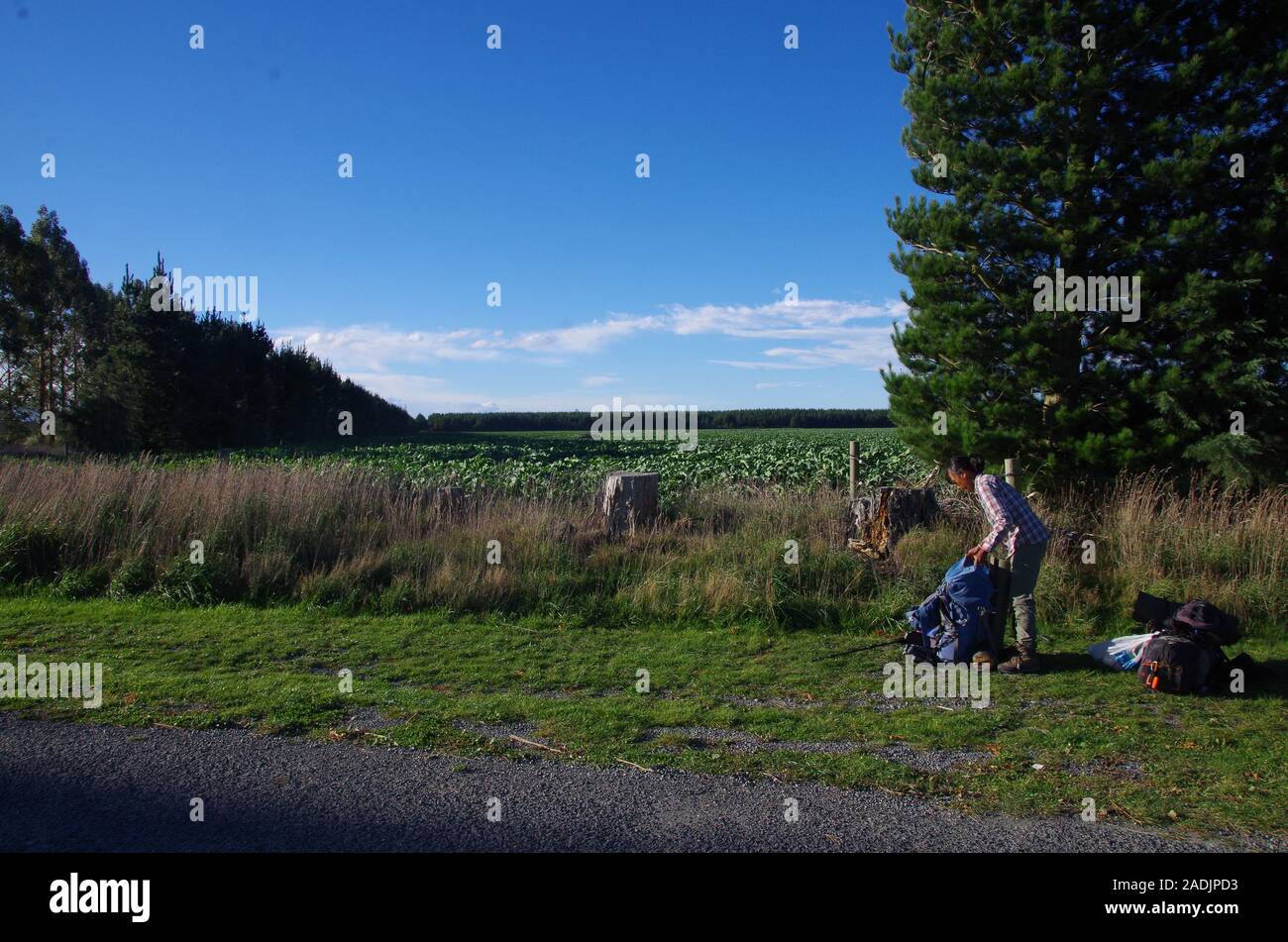 Thai female hiker. Inland Scenic Route Route 72. Te Araroa Trail. South ...