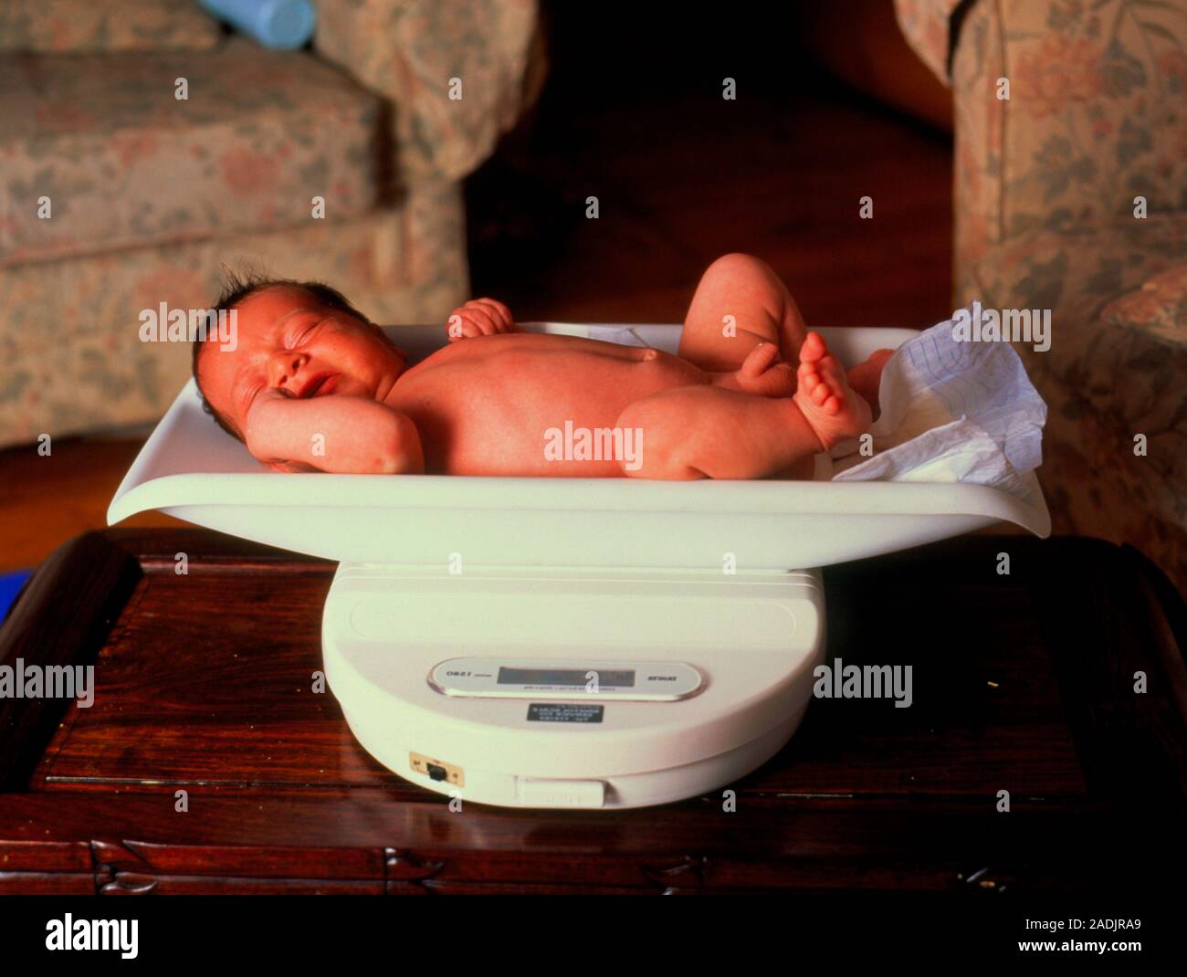 Weighing of neonate. Newborn baby boy being weighed on a scale Stock ...