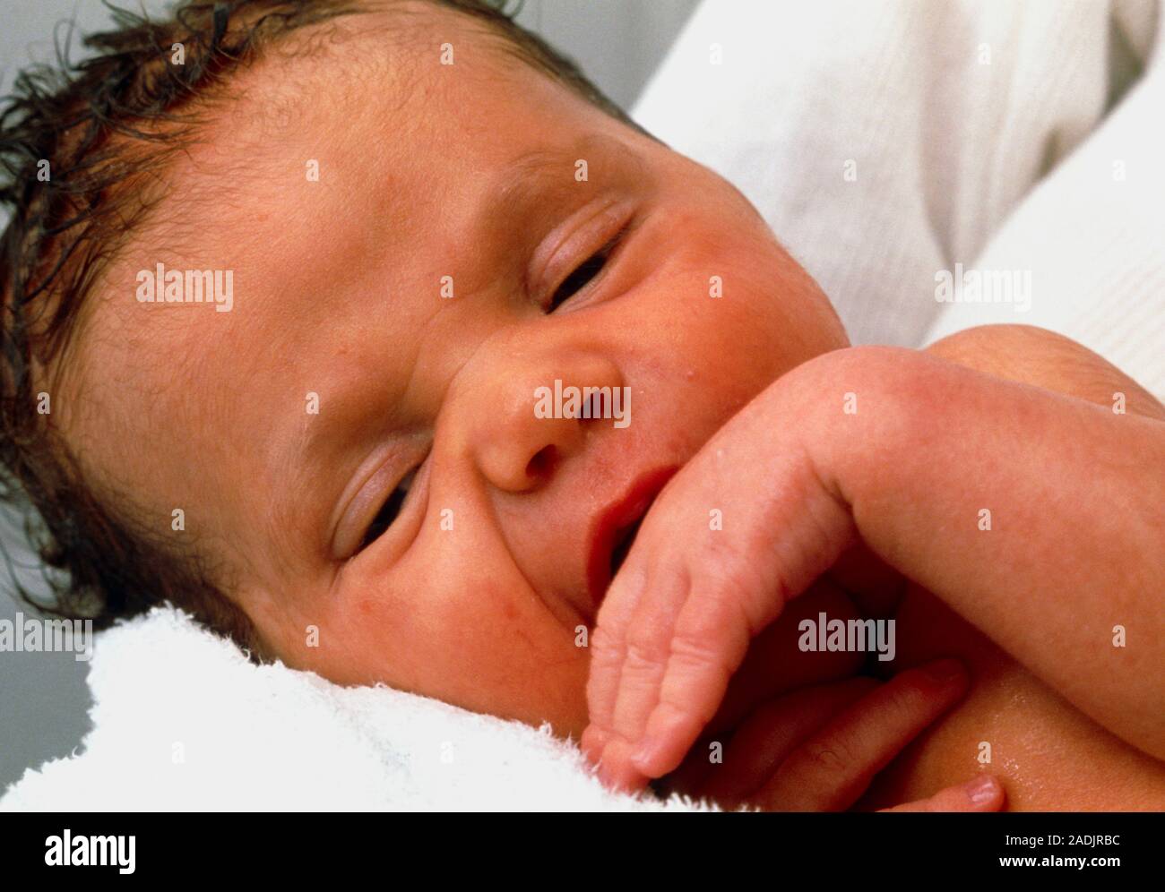 Baby. Portrait of a healthy newborn baby Stock Photo - Alamy